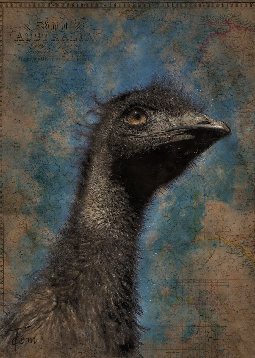 'Emu' Poster, picture, metal print, paint by Petra Rommelfanger | Displate
