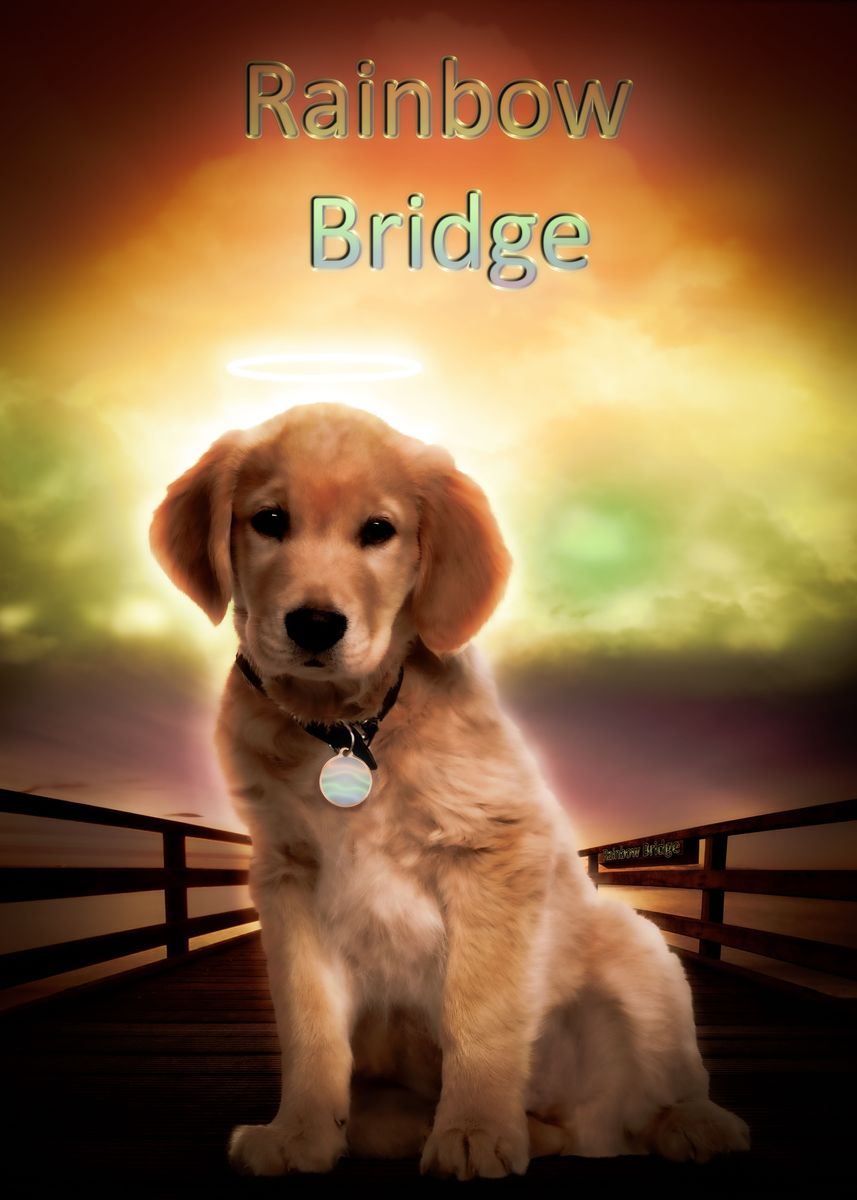 'raindow bridge' Poster, picture, metal print, paint by tricky dee ...