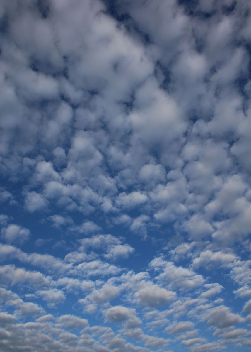 'Sky with bubbles clouds' Poster, picture, metal print, paint by ...