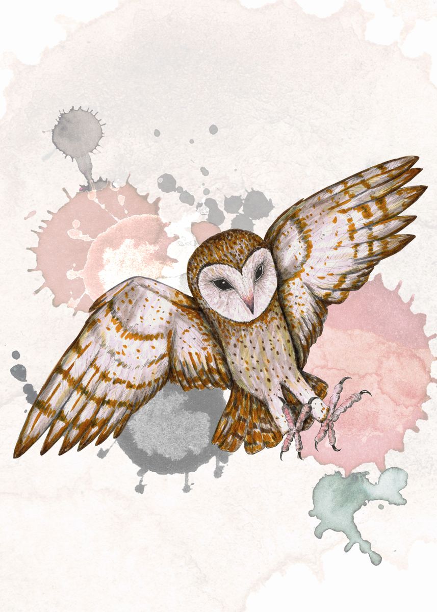 'Attacking barn owl' Poster, picture, metal print, paint by Bianca ...