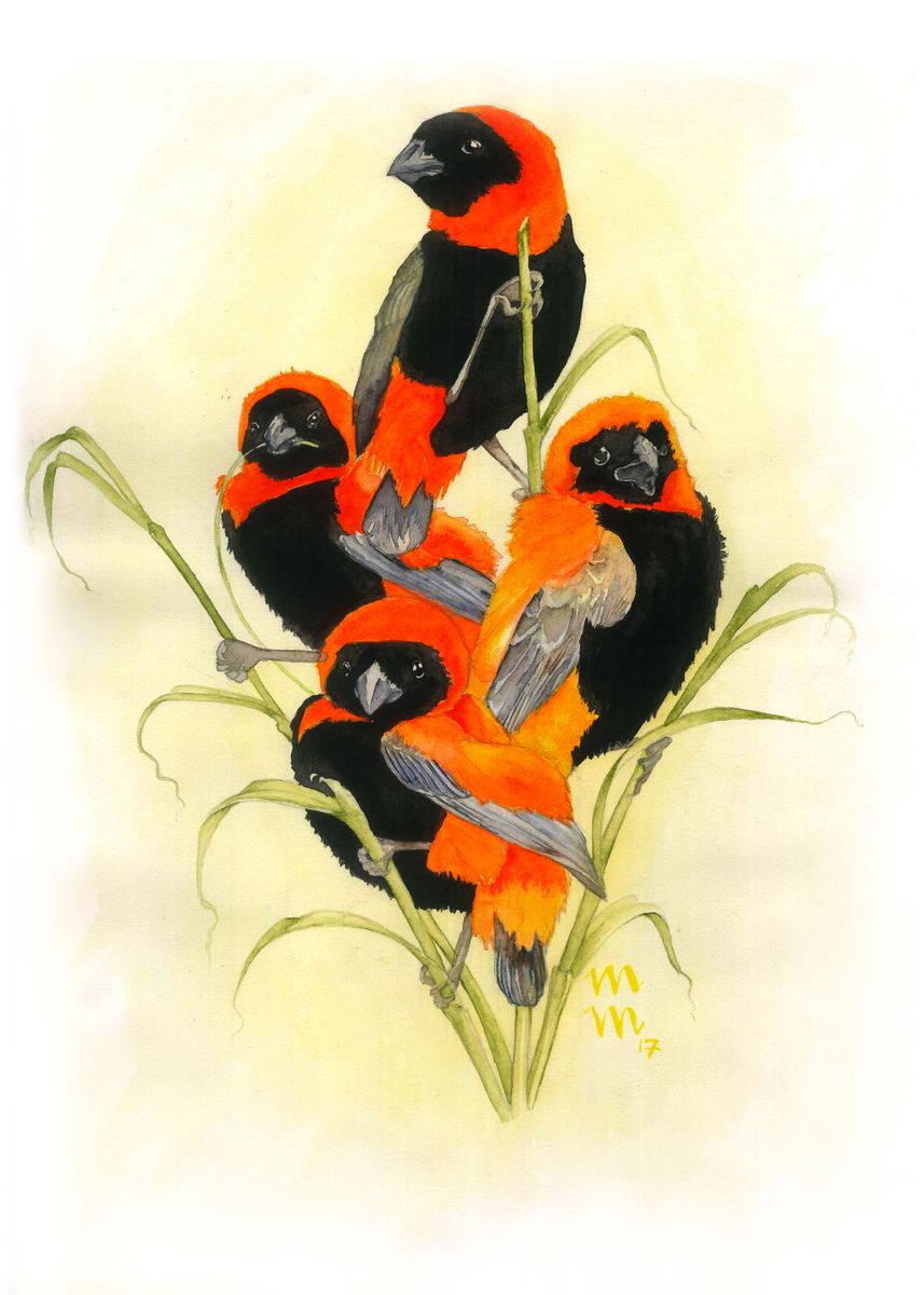 'Red Bishops' Poster, picture, metal print, paint by Michael MacOlive ...