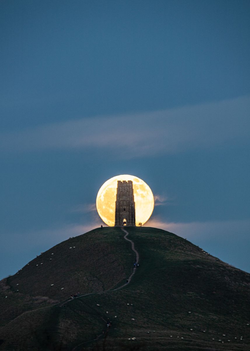 'Howl at the Moon' Poster, picture, metal print, paint by Scott ...