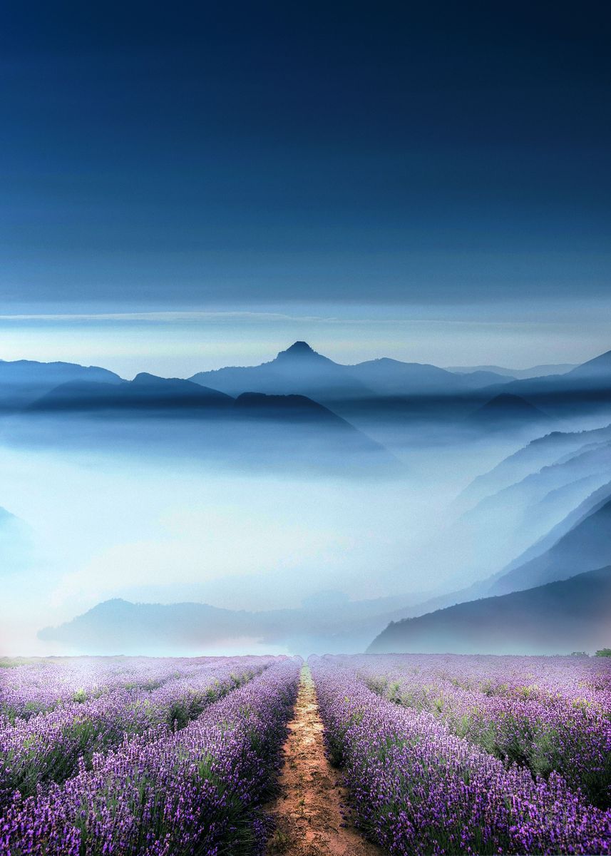 'Field of mountain' Poster, picture, metal print, paint by Milos Maric ...