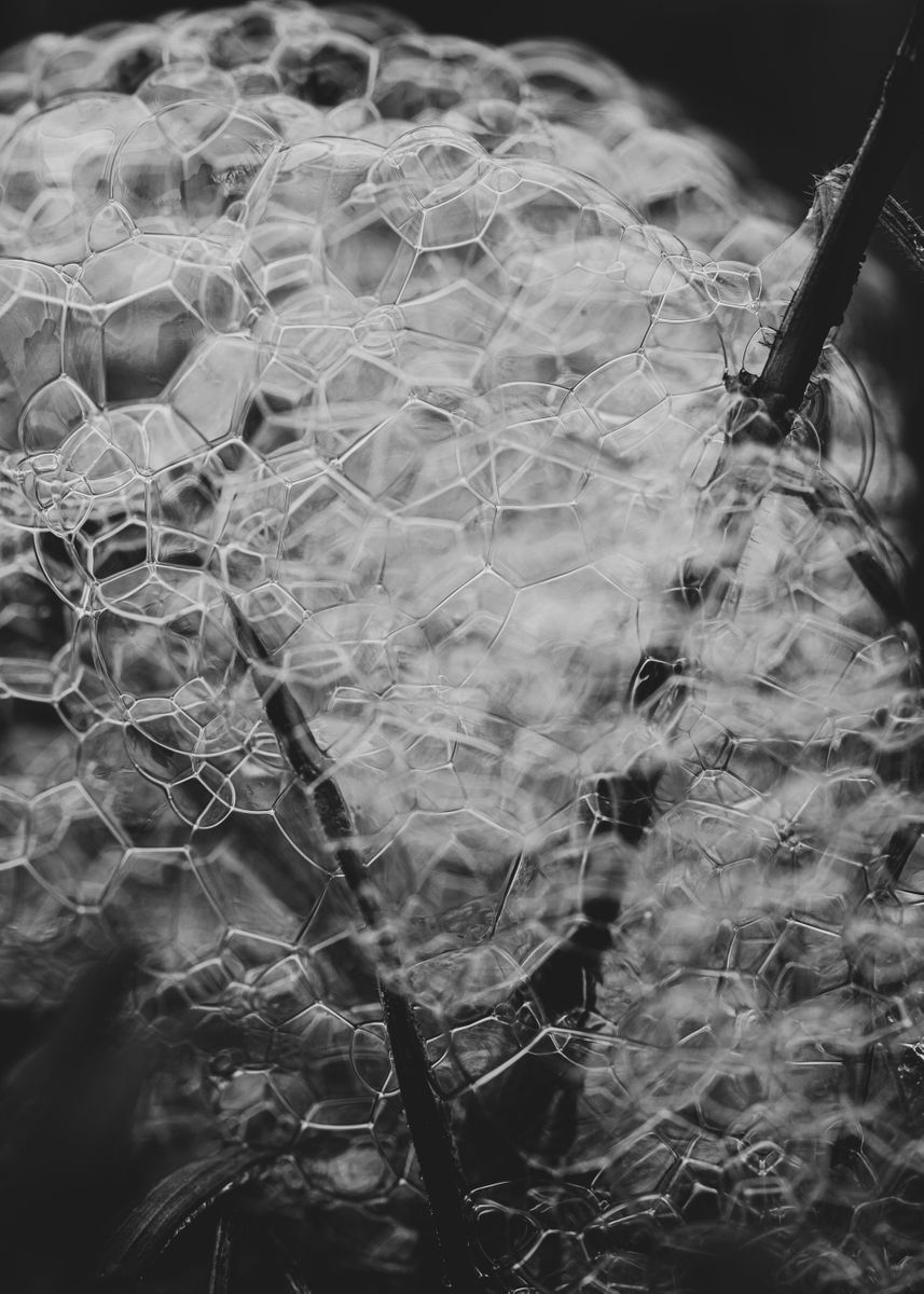 'Foam cells' Poster by Pier76 | Displate