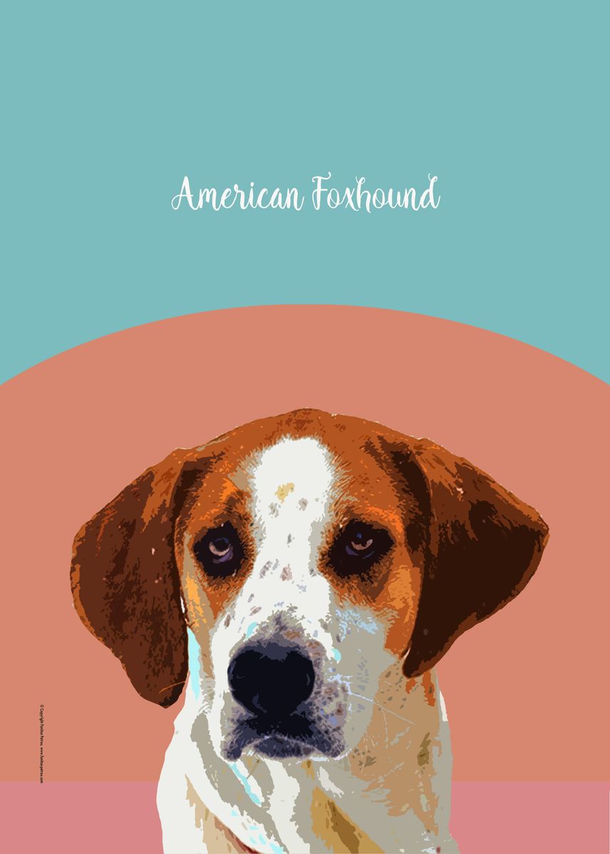 'American Foxhound' Poster, picture, metal print, paint by Fanitsa ...