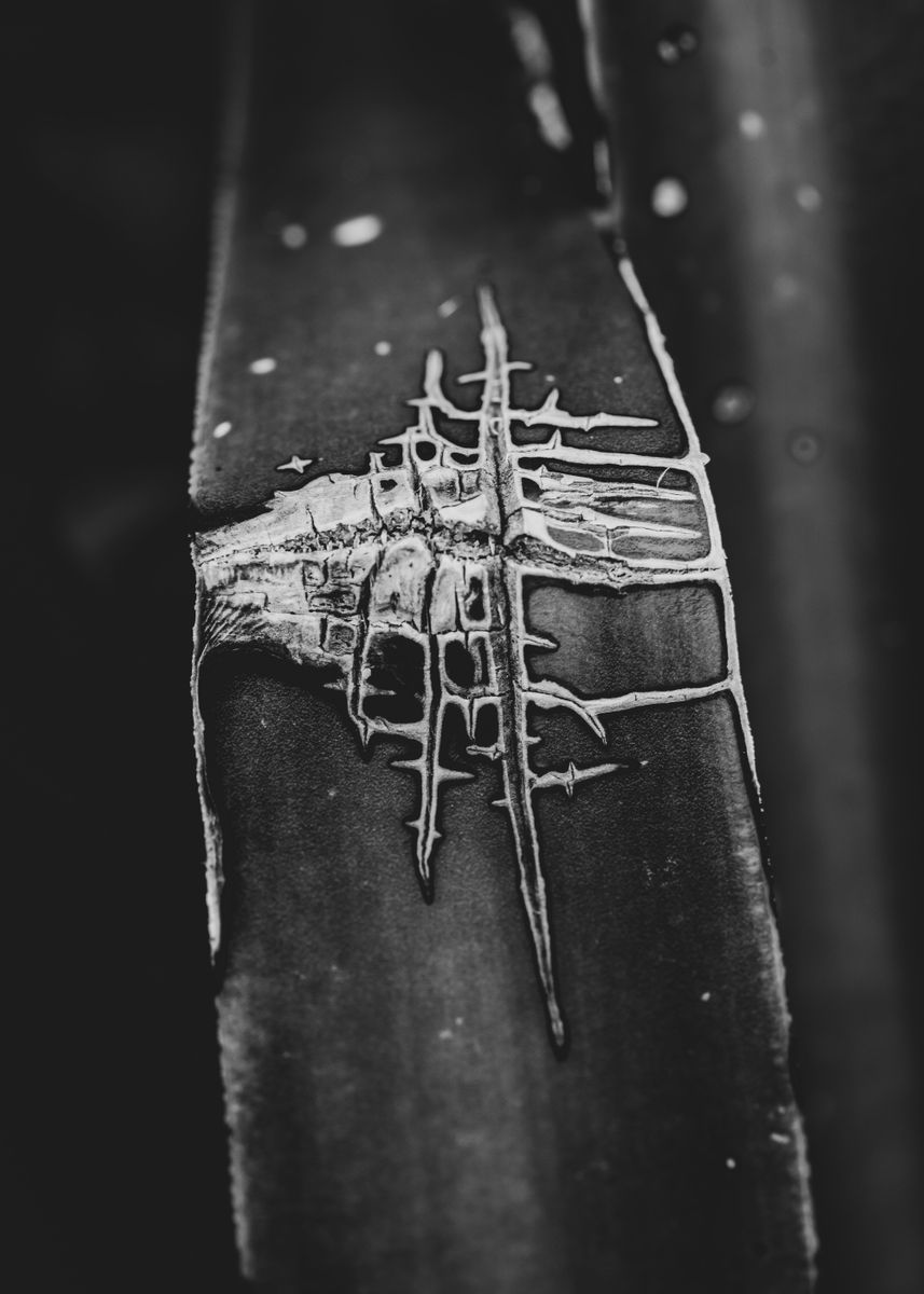 'Scars' Poster, picture, metal print, paint by Pier76 | Displate