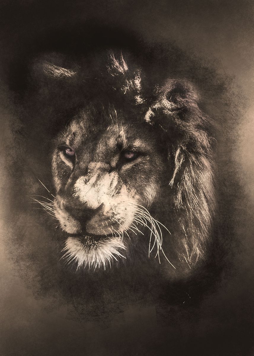 'Lion Brown Soul' Poster by Syarifkuroakai Art | Displate
