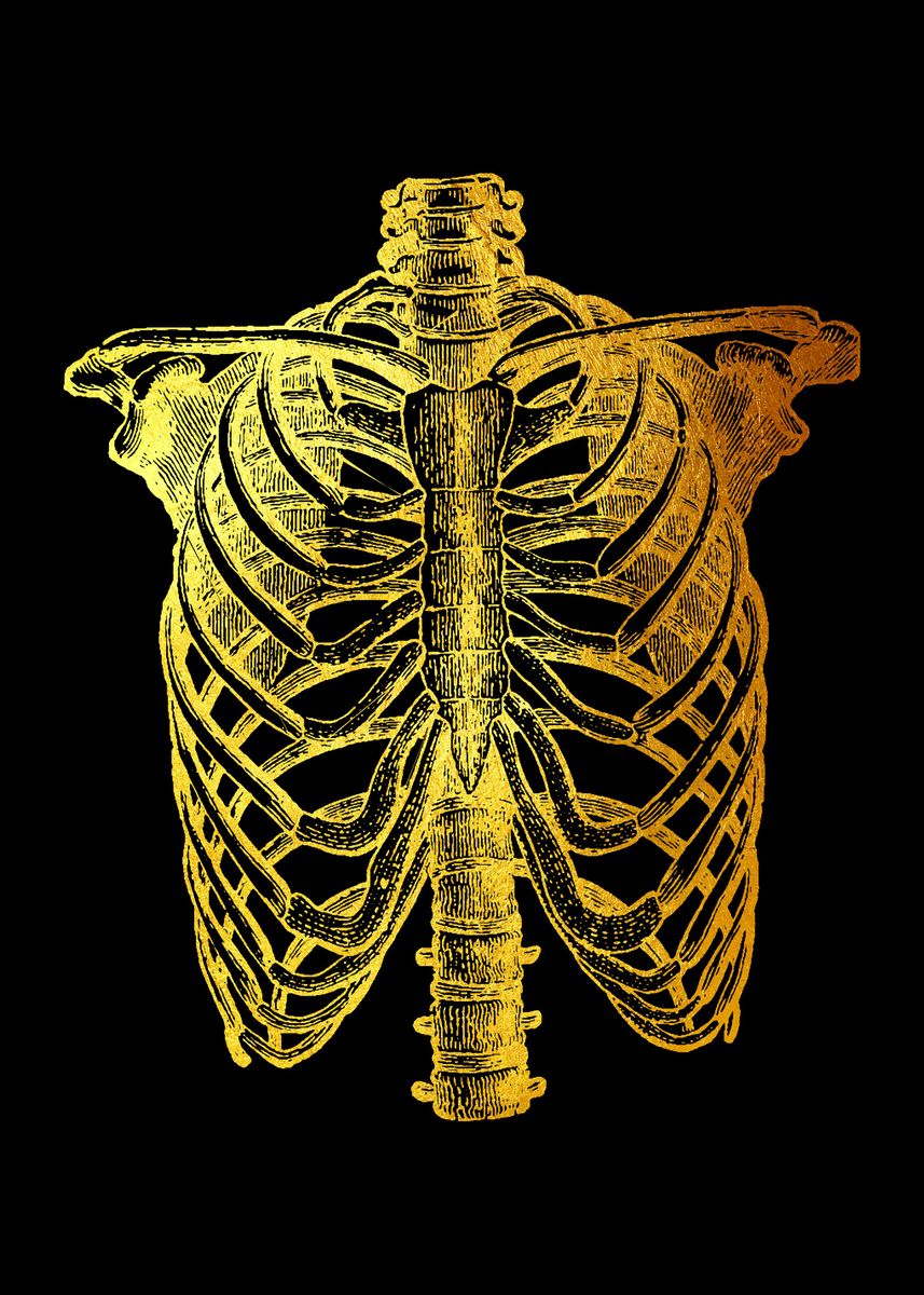 'Ribs' Poster by Gab Fernando | Displate