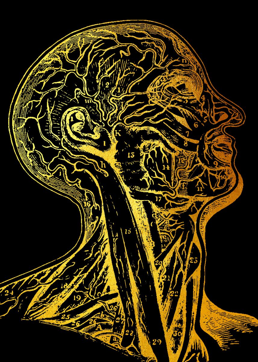 'Face Nerv' Poster, picture, metal print, paint by Gab Fernando | Displate