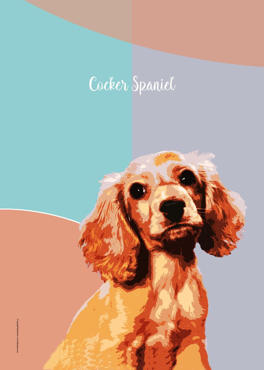 'Cocker Spaniel' Poster, picture, metal print, paint by Fanitsa | Displate