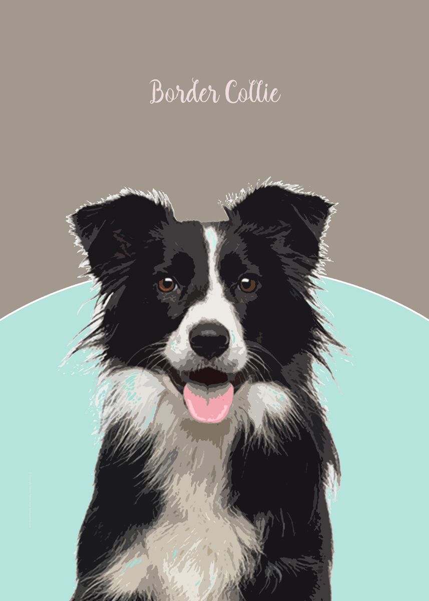 'Border Collie' Poster, picture, metal print, paint by Fanitsa | Displate