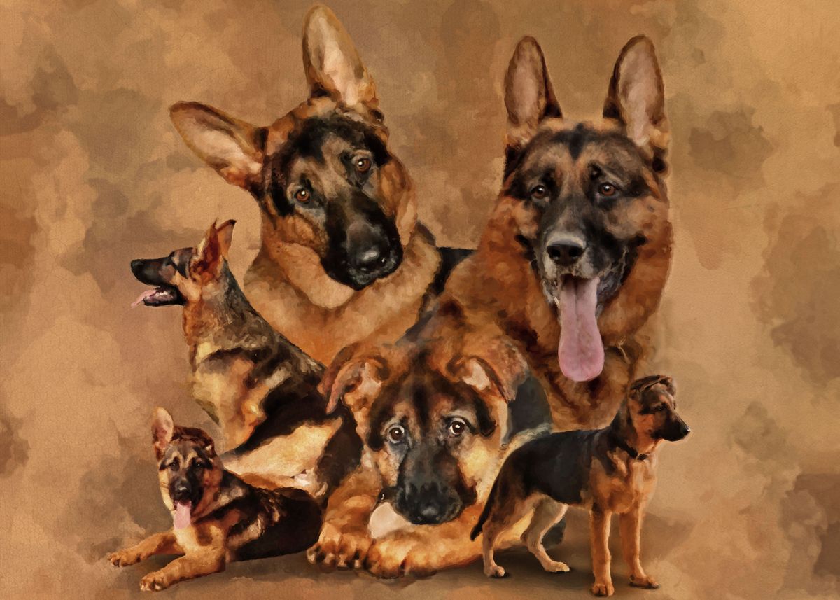 'German Shepherd Dog GSD ' Poster by Lioudmila Perry | Displate