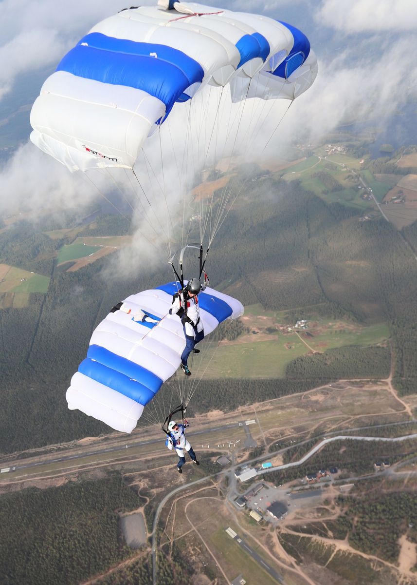 '2 Way Canopy Formation' Poster, picture, metal print, paint by Jani ...