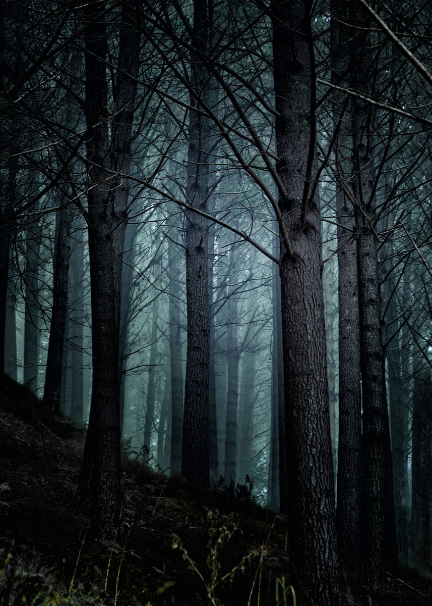 'Nightmare Forest' Poster by Russ Dixon | Displate