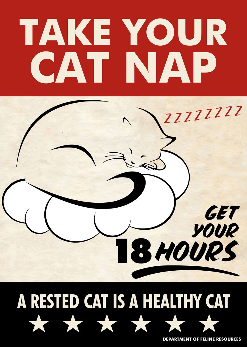 'FUNNY CAT Cat Nap' Poster, picture, metal print, paint by Atomic ...