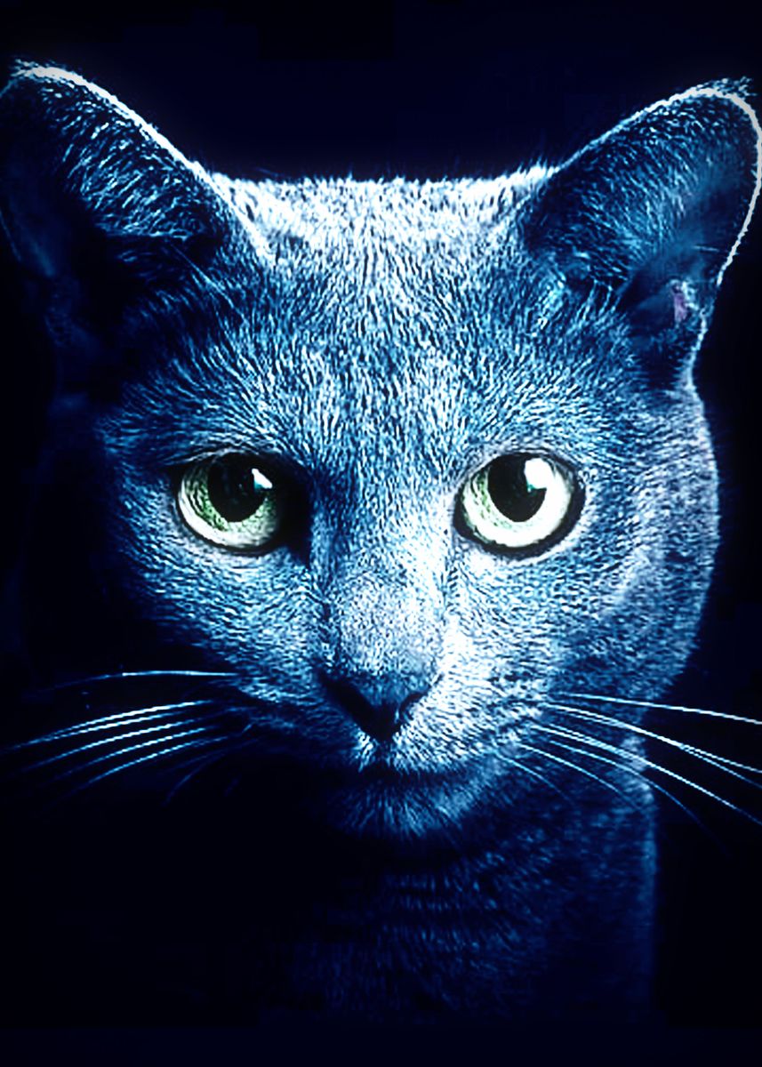 'Blue Cat Neon Light' Poster, picture, metal print, paint by ...