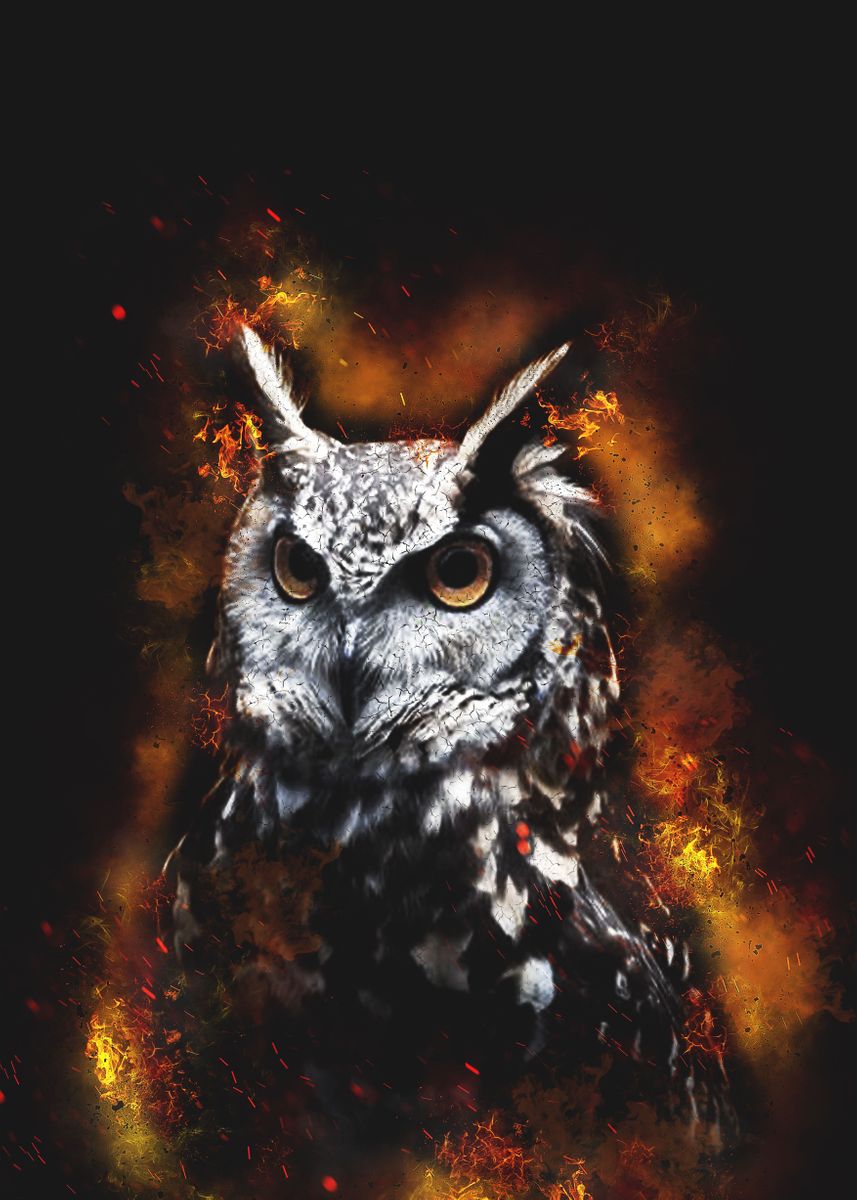 'owl in burn' Poster, picture, metal print, paint by Popart Project ...