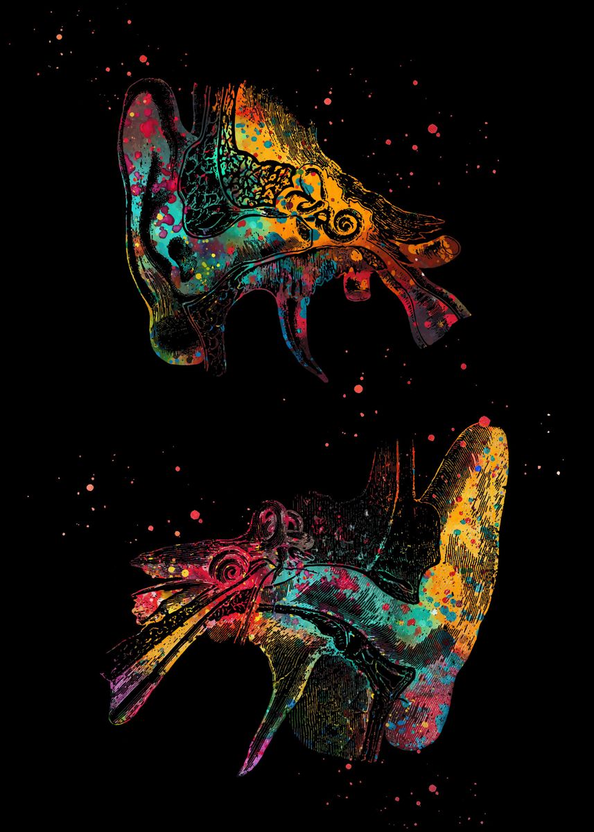 'Human ear ' Poster, picture, metal print, paint by Erzebet Prikel ...