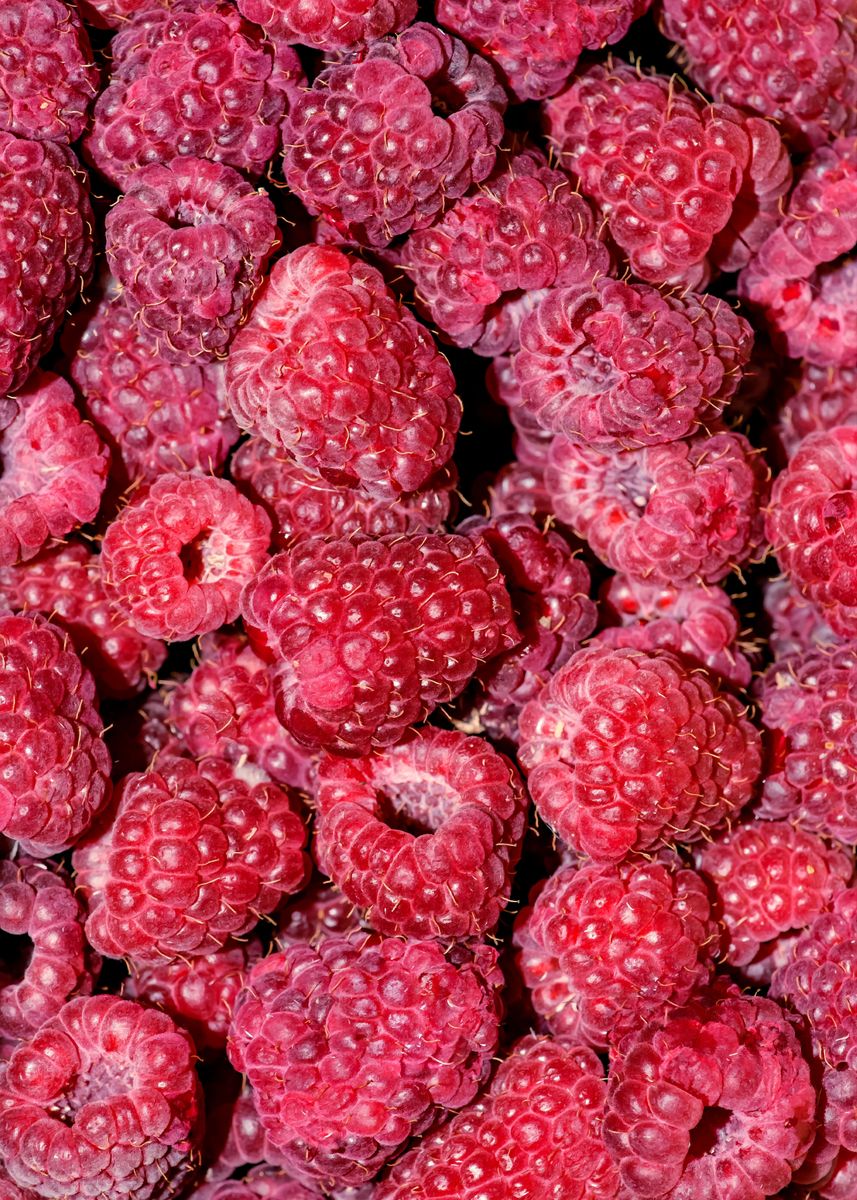 'Pattern Of Red Raspberries' Poster, picture, metal print, paint by Art ...