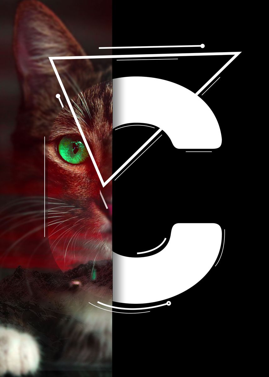 'Letter C' Poster by Chunkie Cheeks | Displate