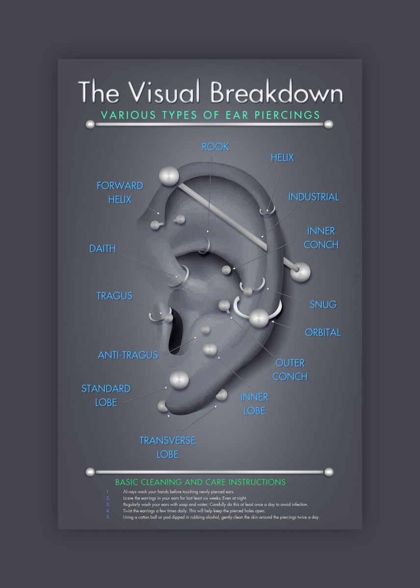 'Ear Piercing Infographic' Poster, picture, metal print, paint by ...