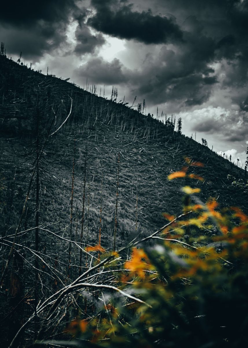 'Gale view' Poster, picture, metal print, paint by Adam Stolarczyk ...