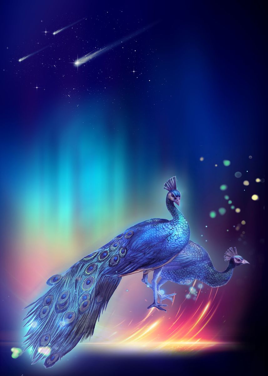 'Peacock Bird on Starry Sky' Poster, picture, metal print, paint by Max ...