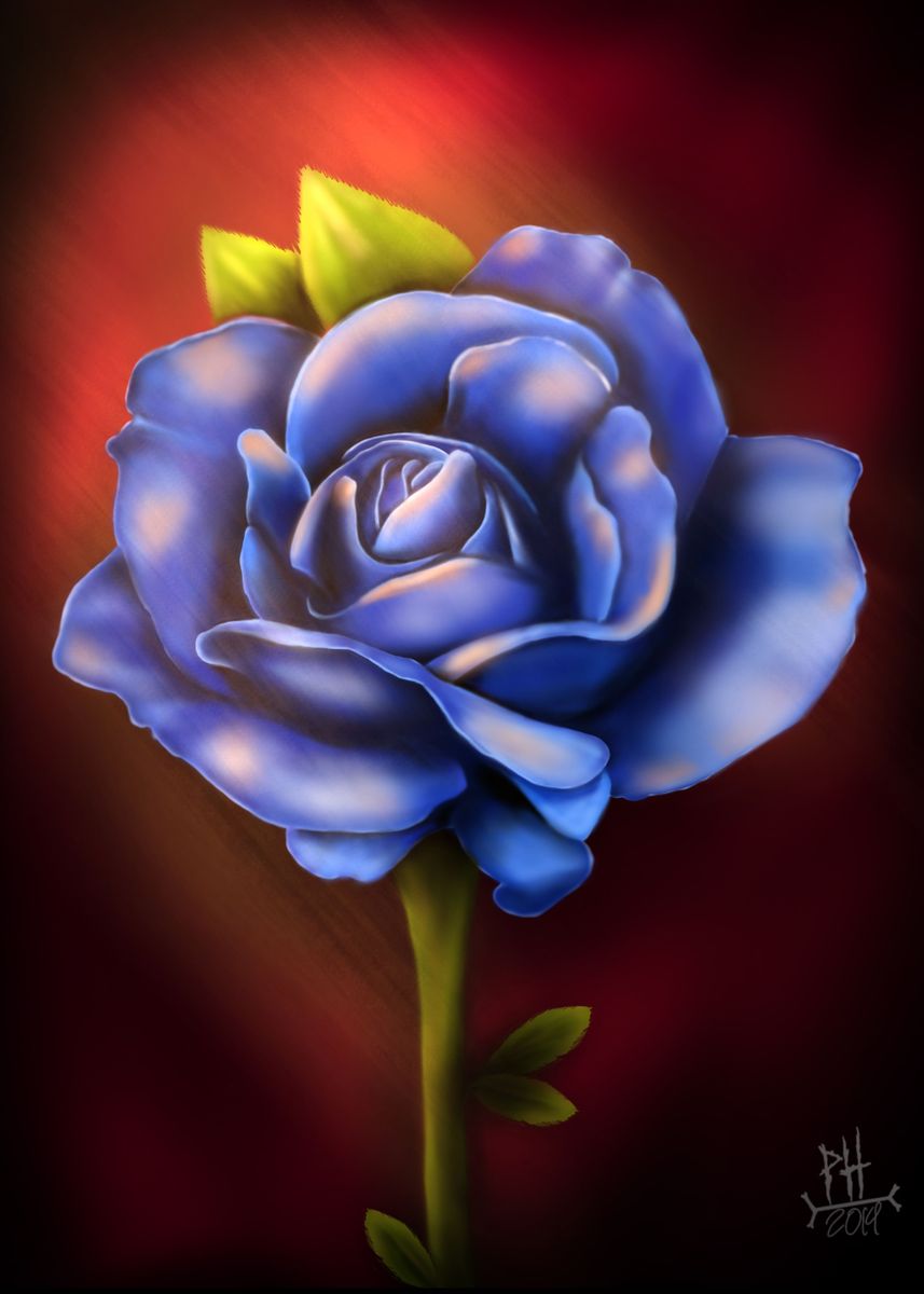 'Blooming Blue Rose' Poster, picture, metal print, paint by Paul ...