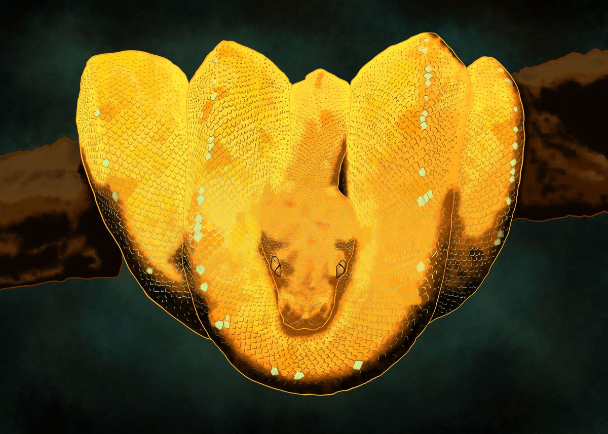 'Yellow Boa' Poster by Creartist | Displate