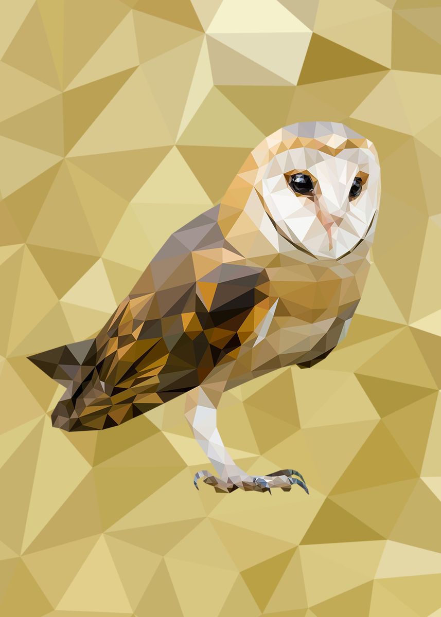 'Owl Bird Animal in polygon' Poster, picture, metal print, paint by Max ...