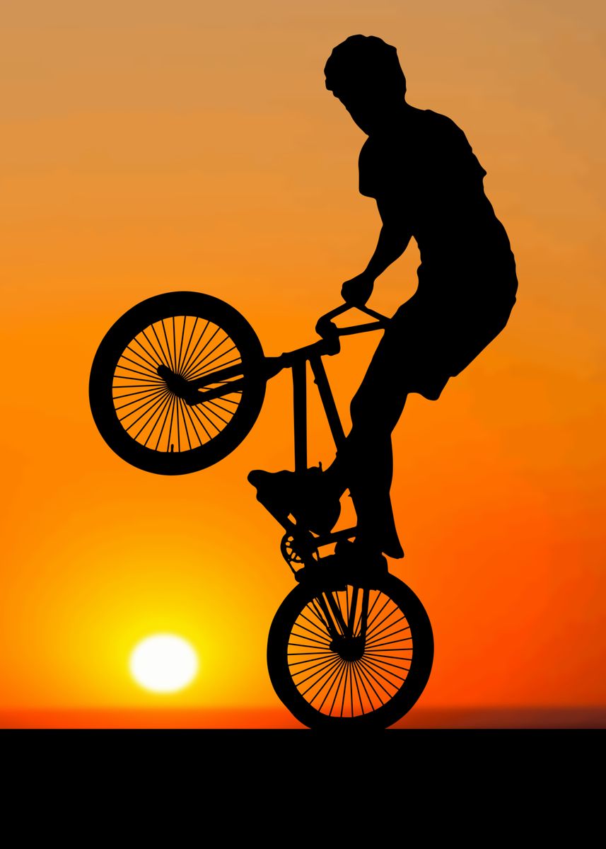 'BMX' Poster, picture, metal print, paint by Josh B | Displate