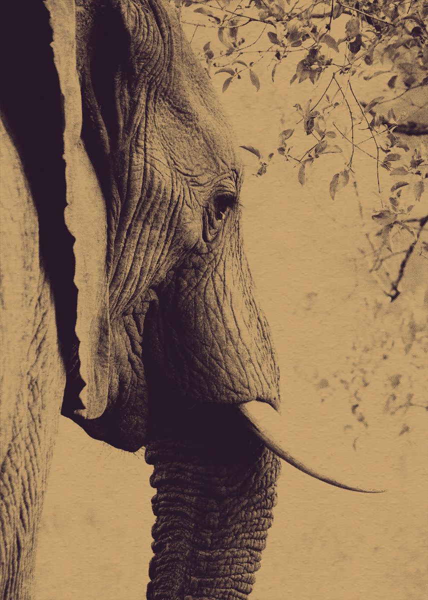'Vintage Elephant Portrait' Poster by TheGiftHub | Displate