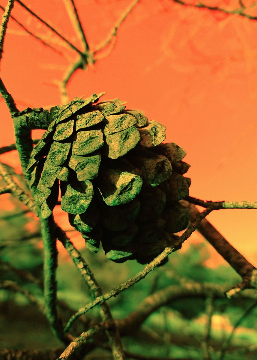 'Pine' Poster by EZ Ezzy | Displate