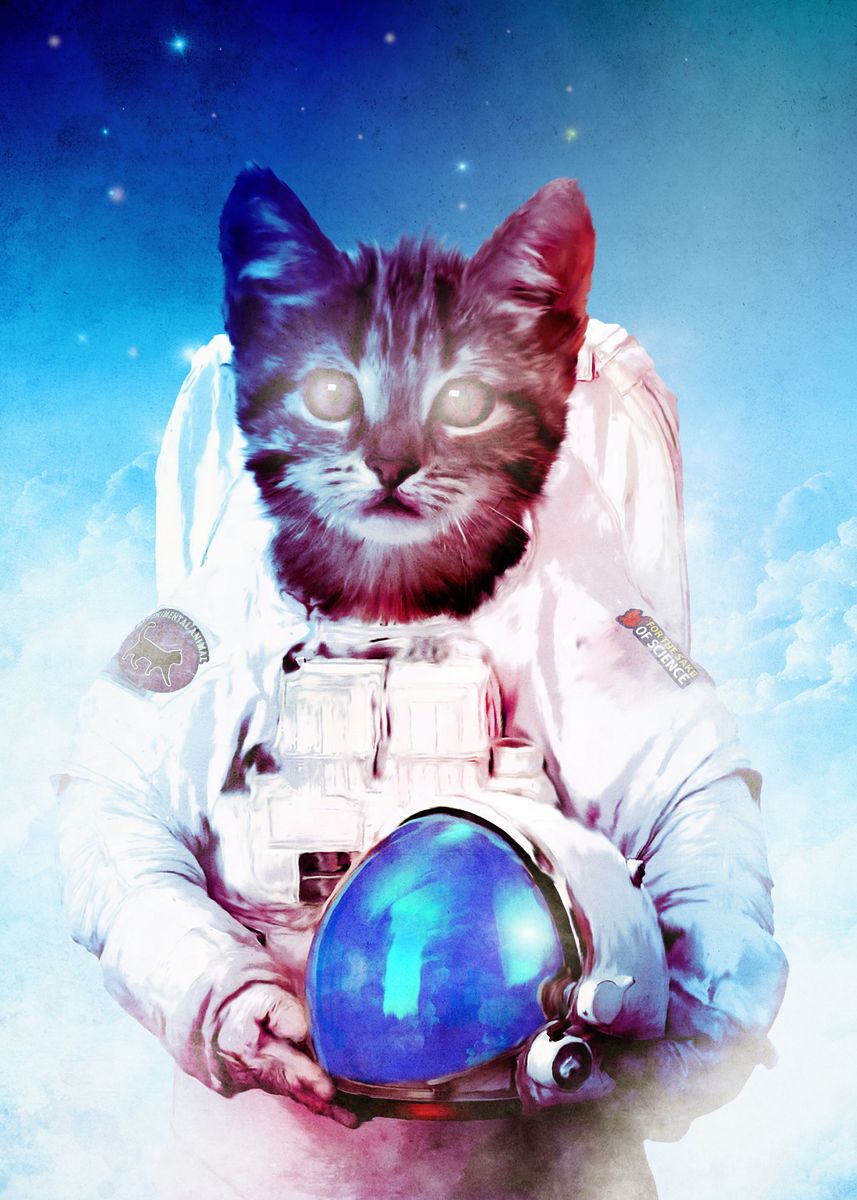 'cat on space' Poster by Em sandia | Displate