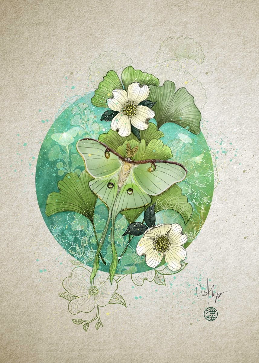 'Luna Moth ' Poster, picture, metal print, paint by Marine Loup | Displate