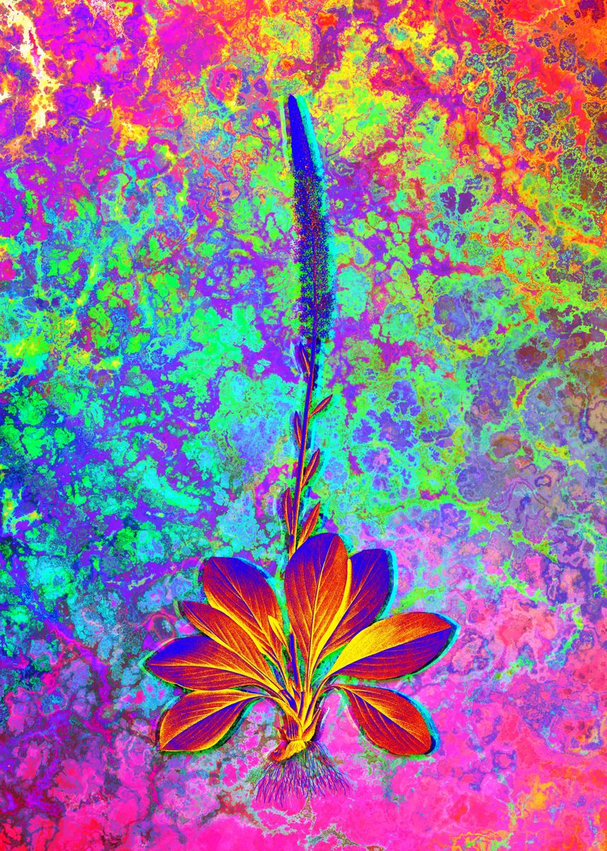 'Neon Botanical Drawing' Poster, picture, metal print, paint by Holy ...