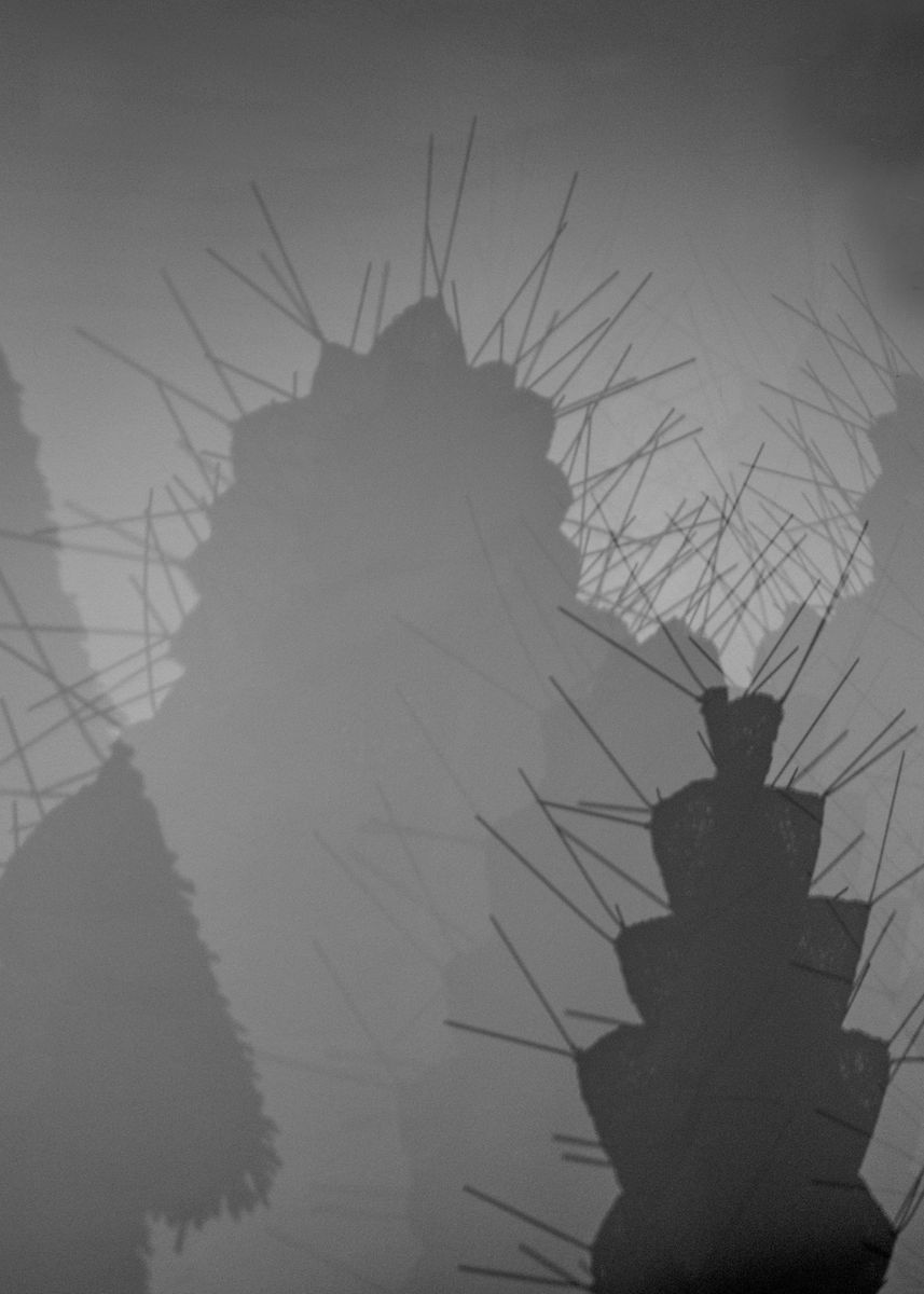 'shadows ' Poster by iris blue | Displate