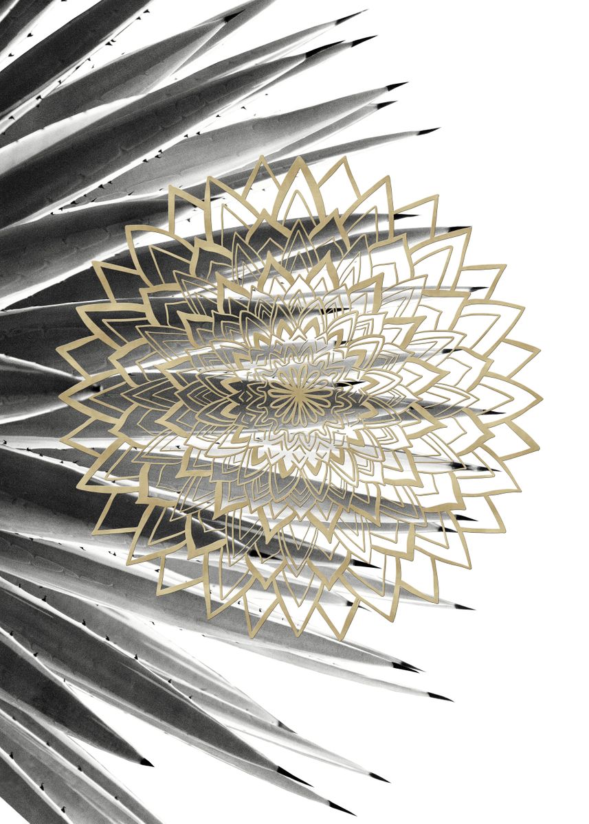 'Gold Mandala on Agave 1 ' Poster by Anita's & Bella's Art | Displate
