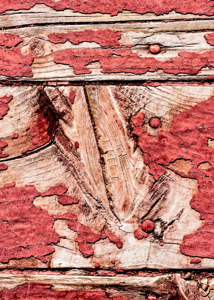 'Coral Color Wooden Planks' Poster by Art Ofphotos | Displate