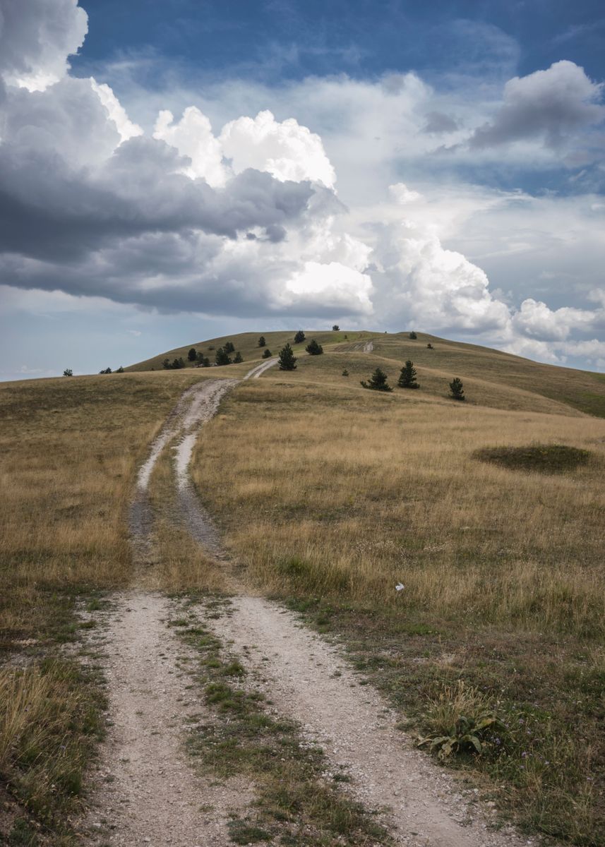 'the Path' Poster by Alessandro Passerini | Displate