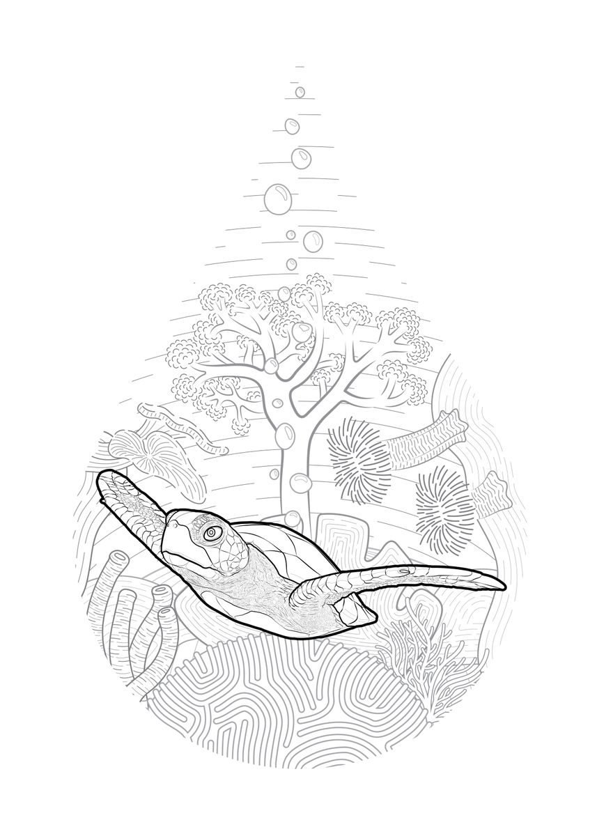 'Sea Turtle Drop' Poster by Mackbubblesworth | Displate