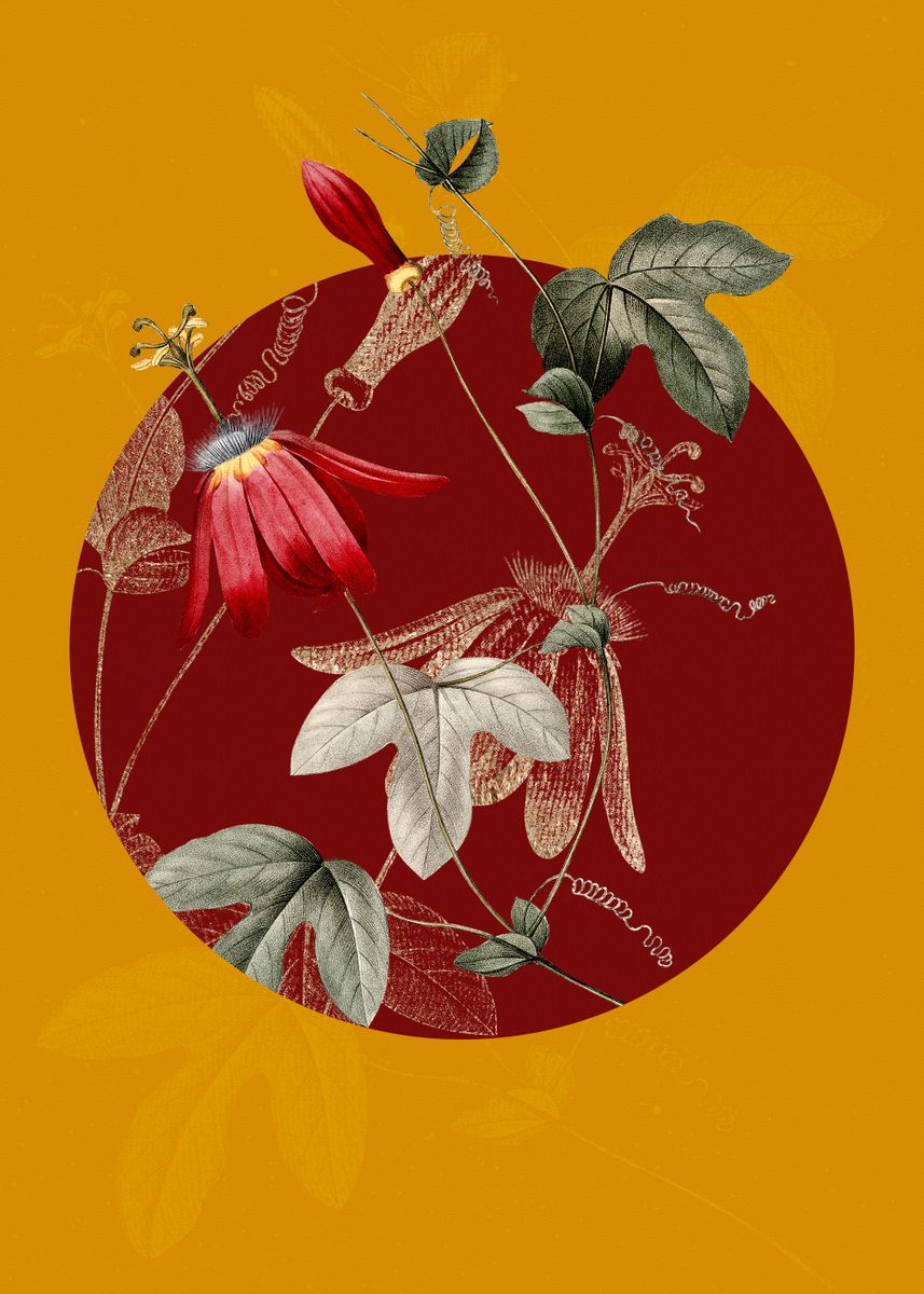 'Vintage Red Passion Flower' Poster, picture, metal print, paint by ...