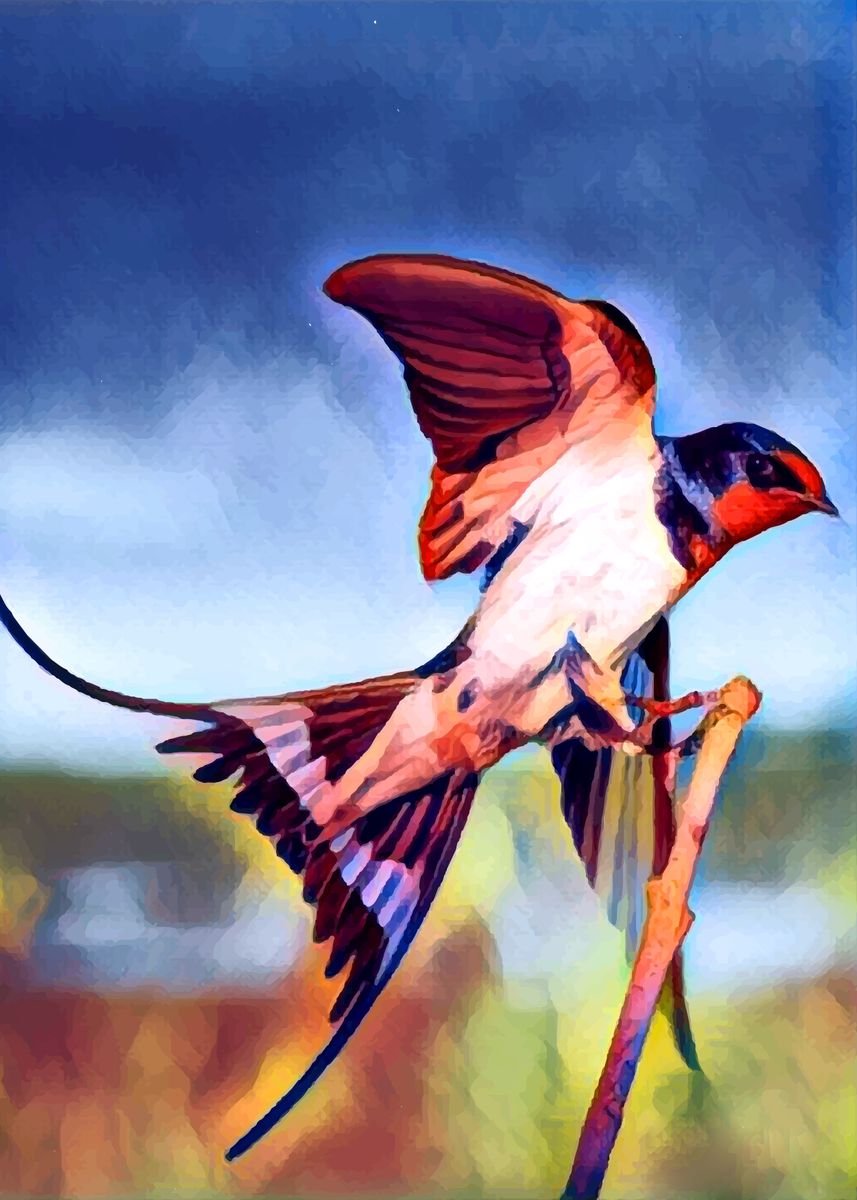 'A Painted Swallow Bird' Poster by Rozi Art | Displate