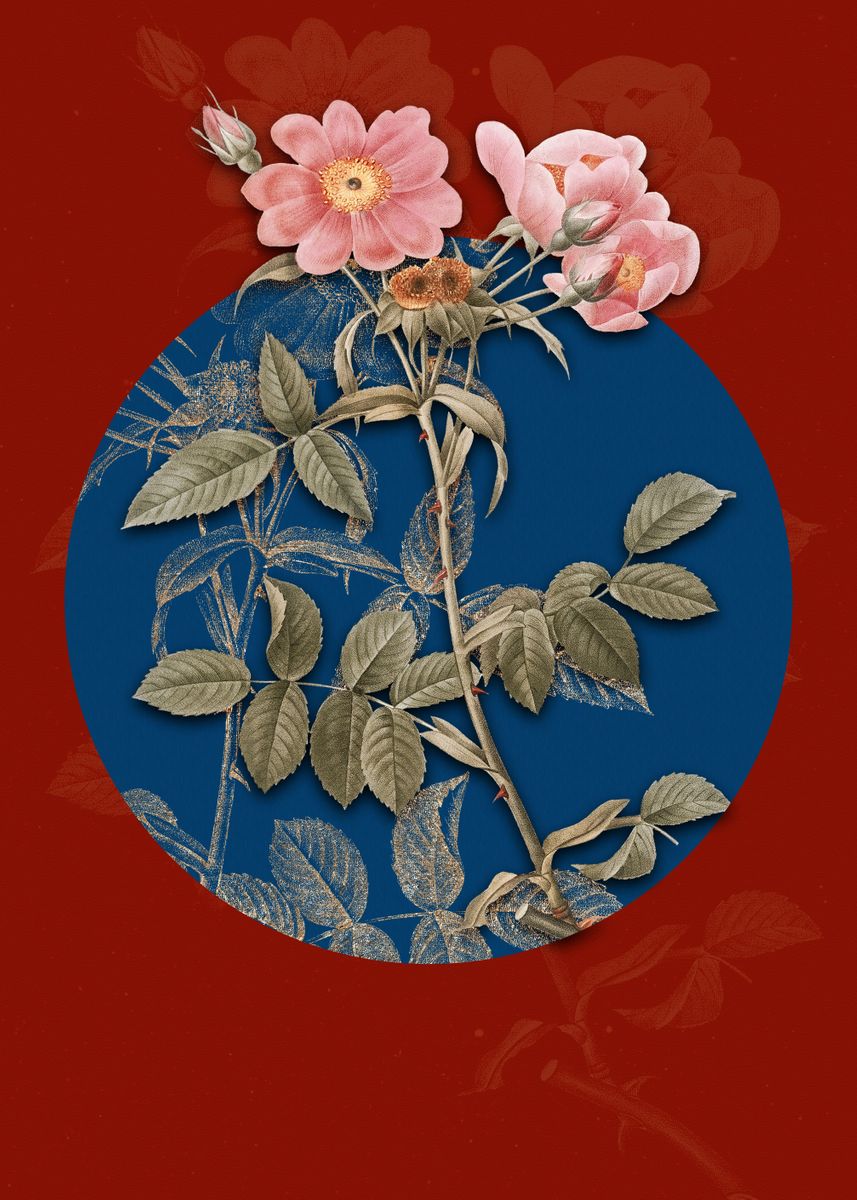 'Lady Monson Rose Bloom' Poster, picture, metal print, paint by Holy ...