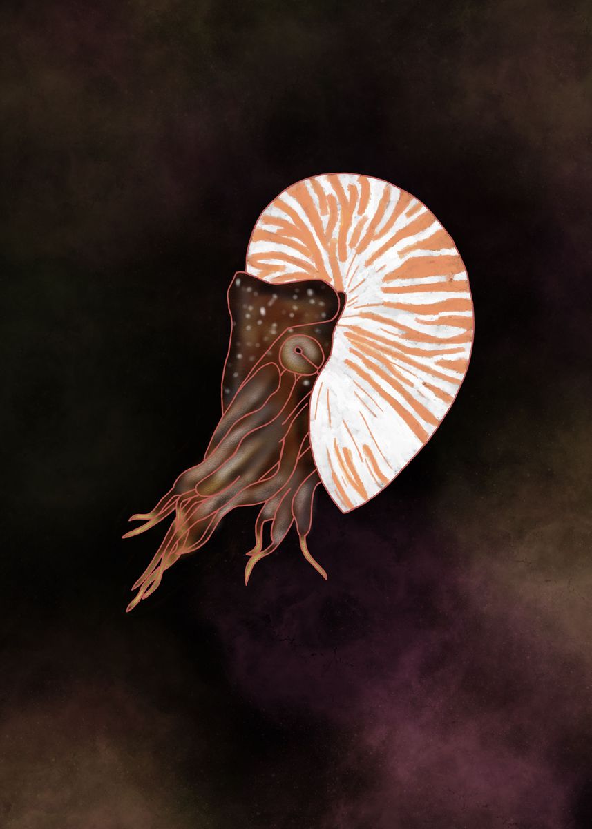 'Nautilus' Poster by Shorty | Displate