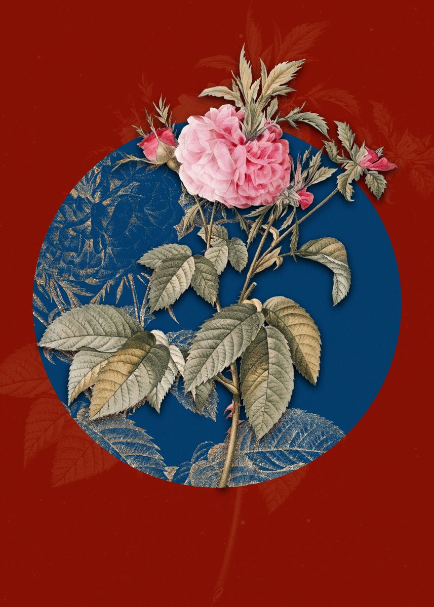 'Vintage Pink Agatha Rose' Poster, picture, metal print, paint by Holy ...