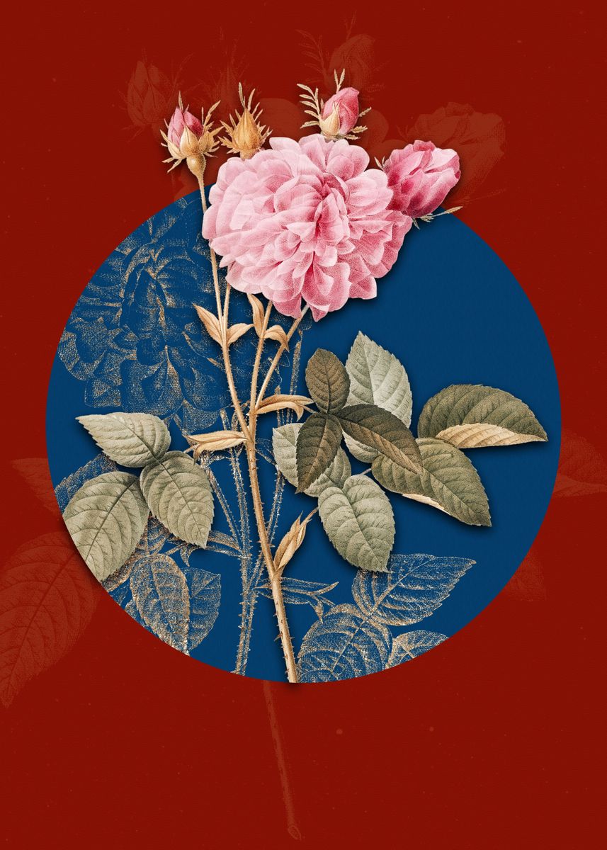 'Vintage Pink Agatha Rose' Poster, picture, metal print, paint by Holy ...