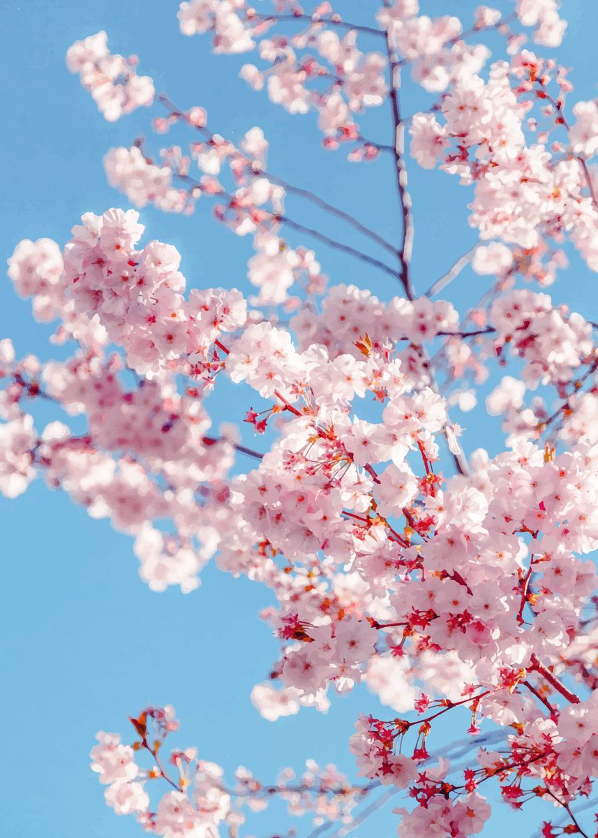 'Sakura' Poster by ArtGallery | Displate