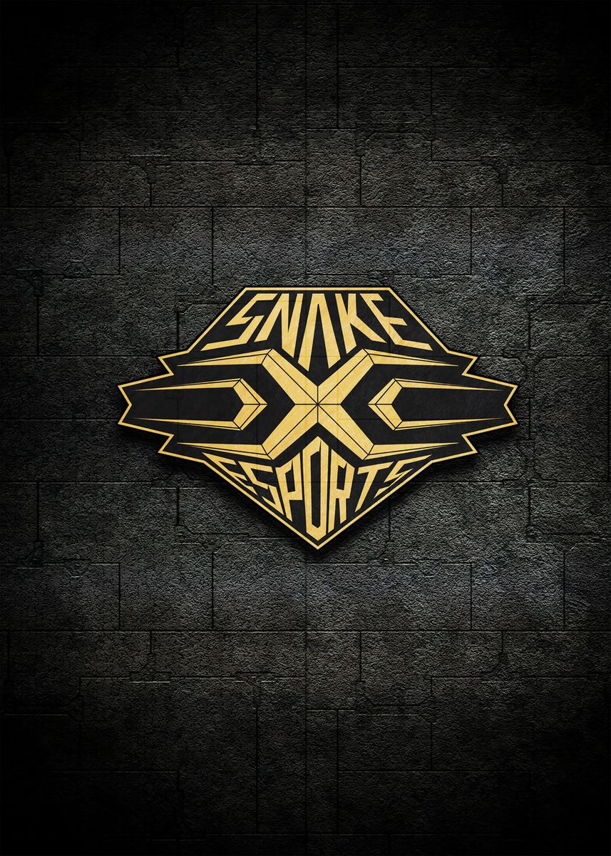 'Snake Esports ' Poster by RJof Art LTD | Displate