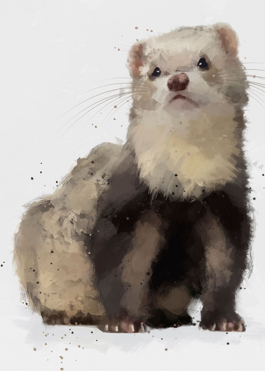 'Martes foina Mustelidae' Poster, picture, metal print, paint by ...